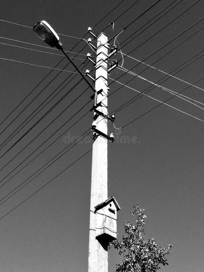 Urban vs nature stock image. Image of house, bird, nature - 128748491