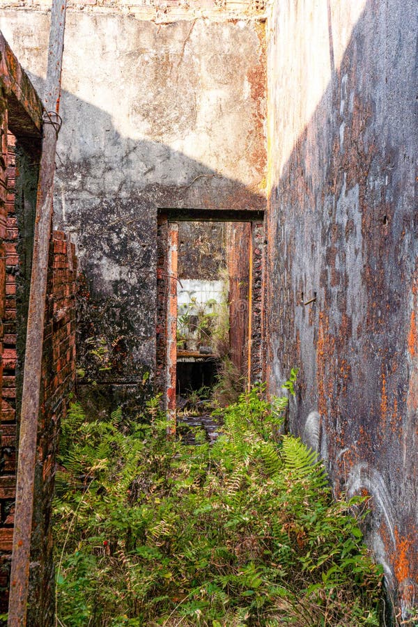 Haunted Houses Open November Stock Photos - Free & Royalty-Free Stock ...