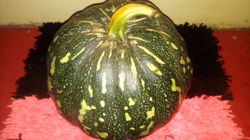 Urbun Pumpkins Stock Photos - Free & Royalty-Free Stock Photos from ...