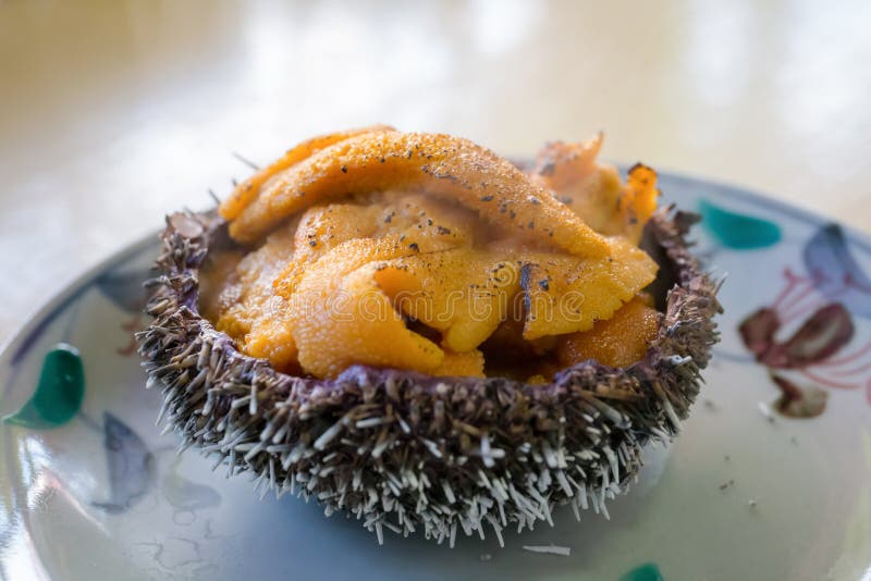 Uni Japanese Sea Urchin With Rice And Seaweed In Hand Stock Photo ...