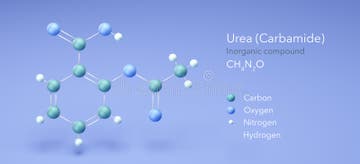 Urea, Carbamide, Inorganic Compound, Molecular Structures, 3d Model ...