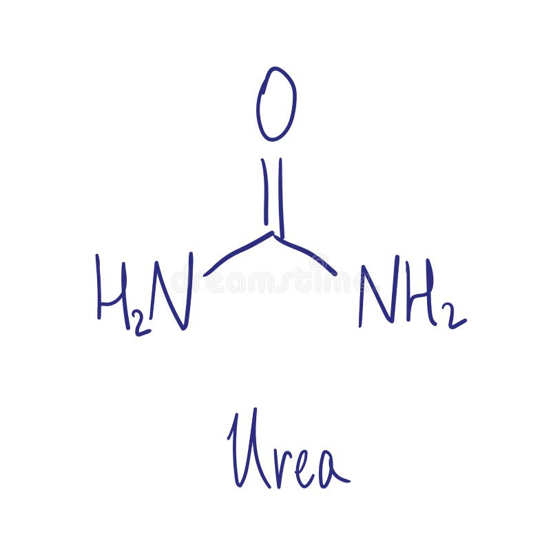 Urea Chemical Structure. Vector Illustration Hand Drawn Stock Vector ...