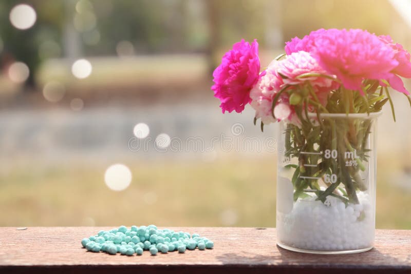 Urea and flower stock photo. Image of floral, benefits - 209032874