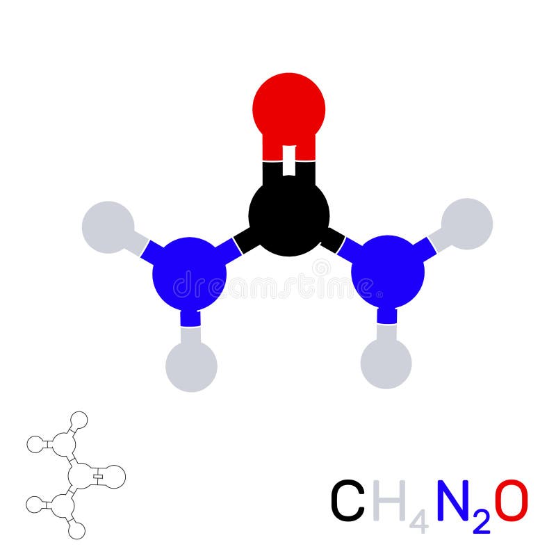 Urea Model Molecule.Isolated on White Background. Vector Illustration ...