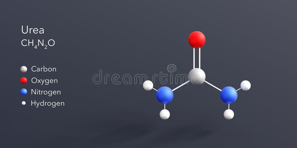 Urea Cycle Stock Illustrations – 118 Urea Cycle Stock Illustrations ...