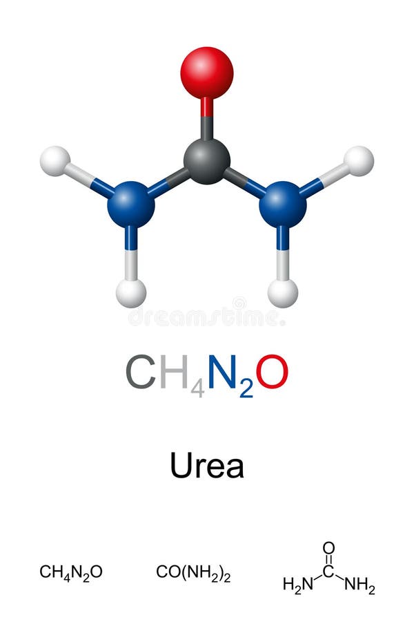 Urea, Carbamide, Molecule Model and Chemical Formula Stock Vector ...