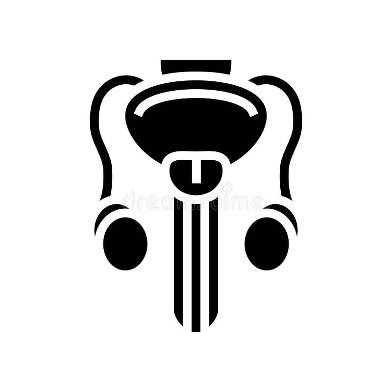 Urethral Stricture Urology Glyph Icon Vector Illustration Stock Vector