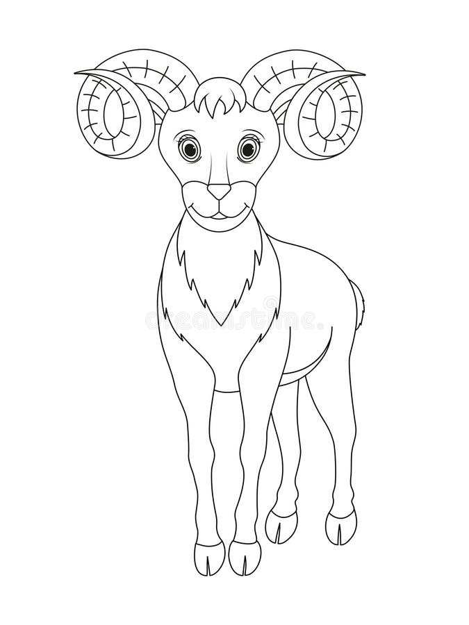 Vector Illustration of Urial Isolated on White Background. Stock Vector ...