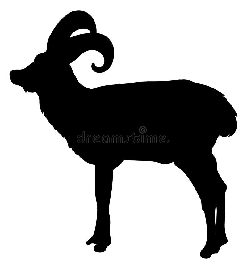 Urial Vector Stock Illustrations – 314 Urial Vector Stock Illustrations ...