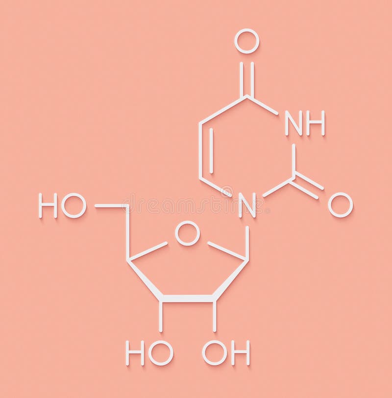 Uridine, Urd, U Nucleoside Molecule. Building Block of RNA. Skeletal ...