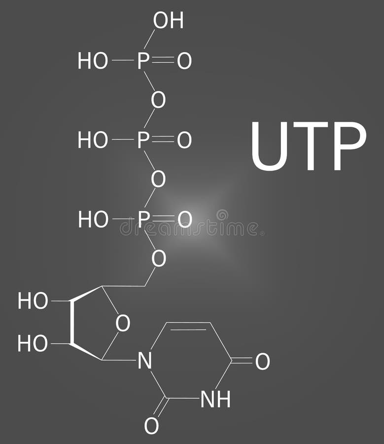 Uridine Triphosphate or UTP Nucleotide Molecule. Building Block of RNA ...