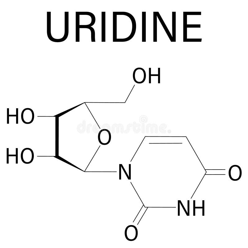 Uridine chemical formula stock vector. Illustration of icon - 150837992