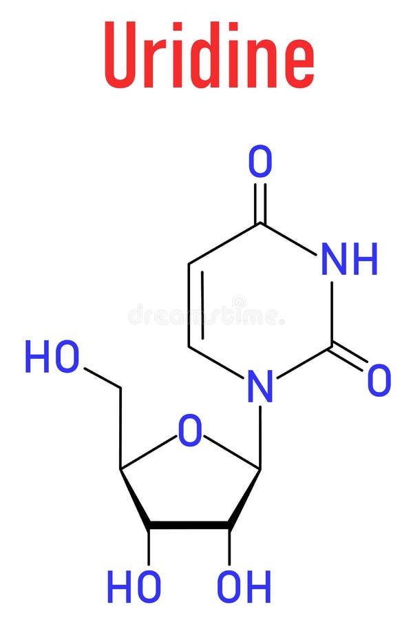 Uridine, Urd, U Nucleoside Molecule. Building Block of RNA. Skeletal ...