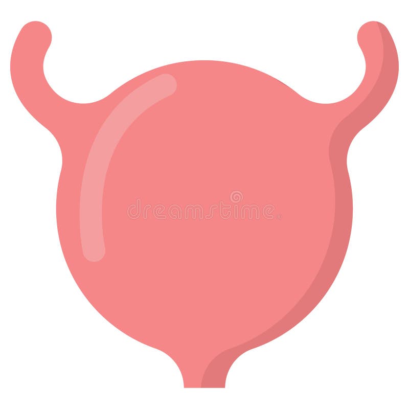 Urinary Bladder Human Organ Icon, Vector Illustration Stock Vector ...