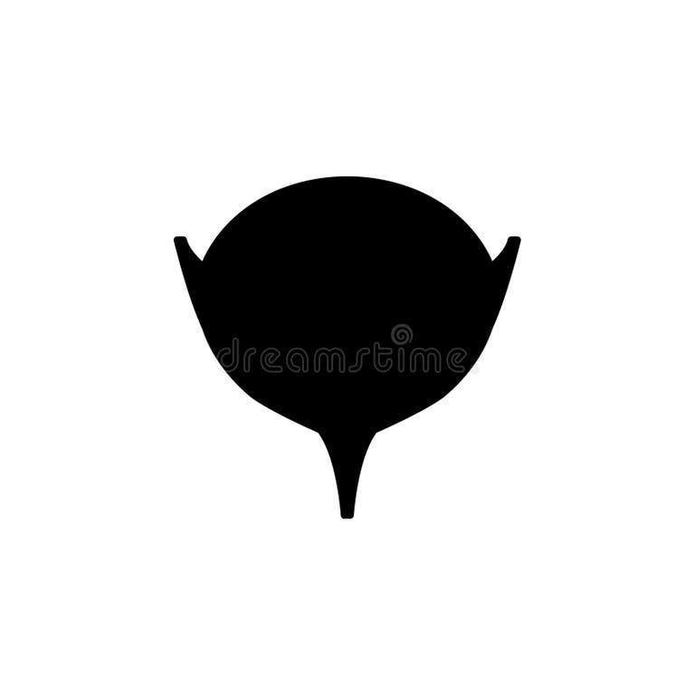 Bladder Urology Stock Illustrations – 3,055 Bladder Urology Stock ...