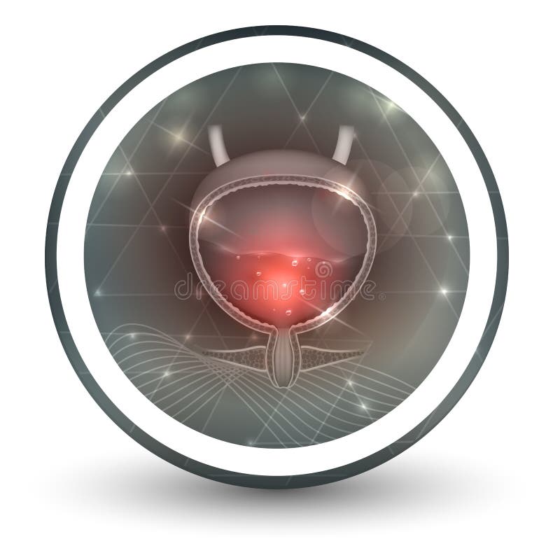 Icon Healthy Urinary Tract Stock Illustrations – 343 Icon Healthy ...