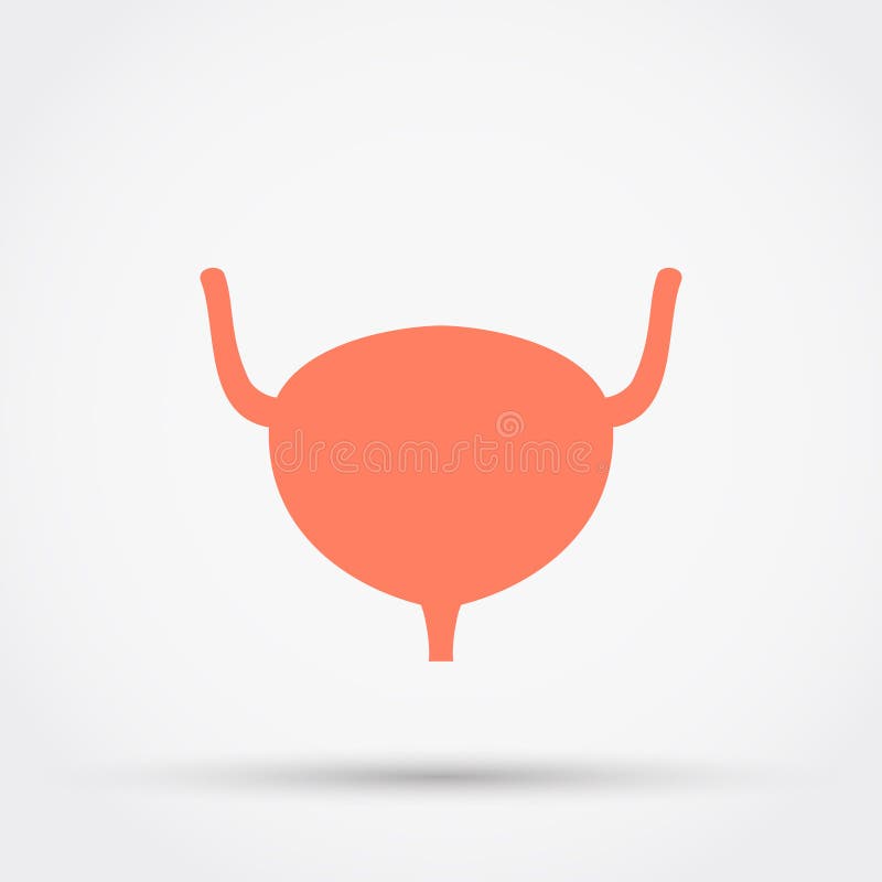 Urinary Bladder Vector Icon. Stock Vector - Illustration of care, icon ...