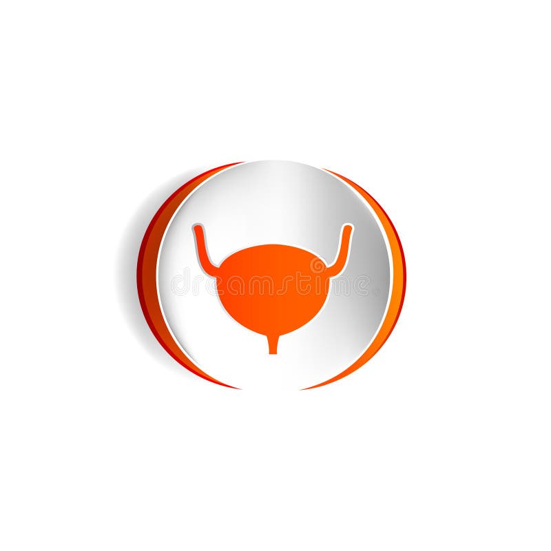 Urinary Bladder Vector Icon. Stock Vector - Illustration of urinary ...