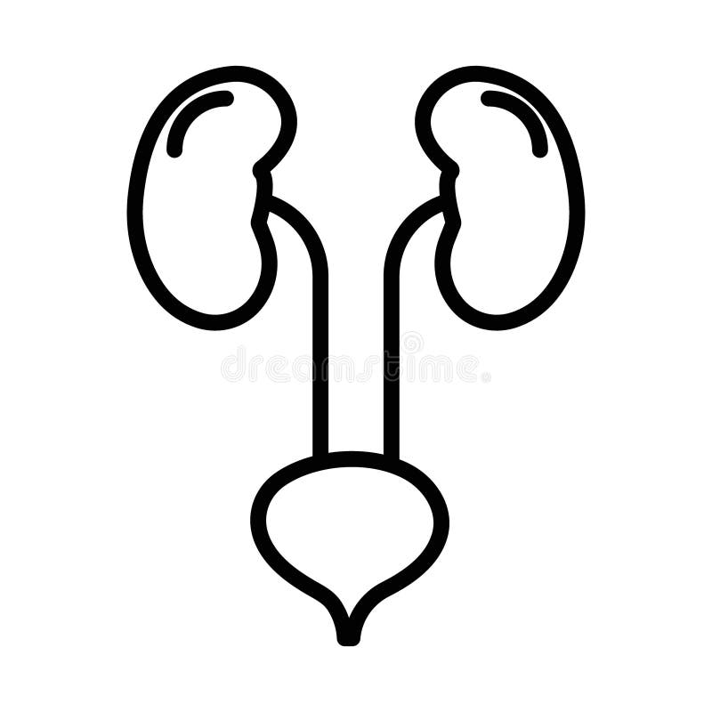 Urinary System Icon Linear Logo Mark in Black and White Stock ...