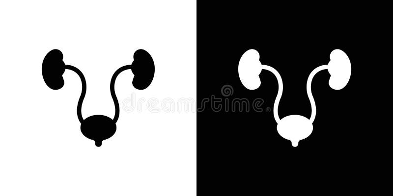 Urinary System Icon Logo Set Vector Stock Vector - Illustration of ...