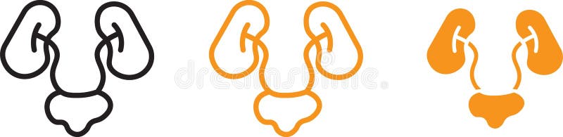 Anatomical Urinary System Icon for Health and Medical Graphics Ideal ...