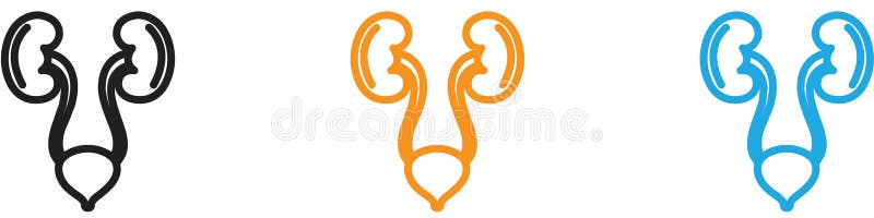 Urinary System Vector Logo Set Collection for Web App Ui Stock ...