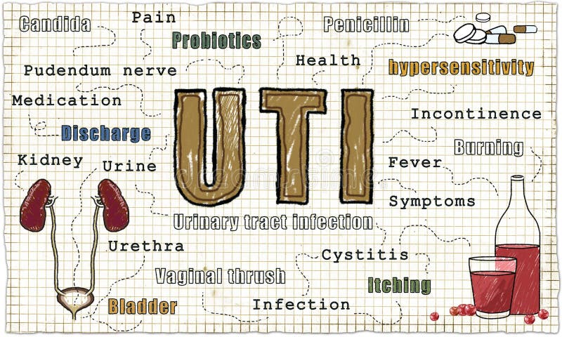 UTI - Urinary Tract Infection Acronym, Medical Concept Background Stock ...