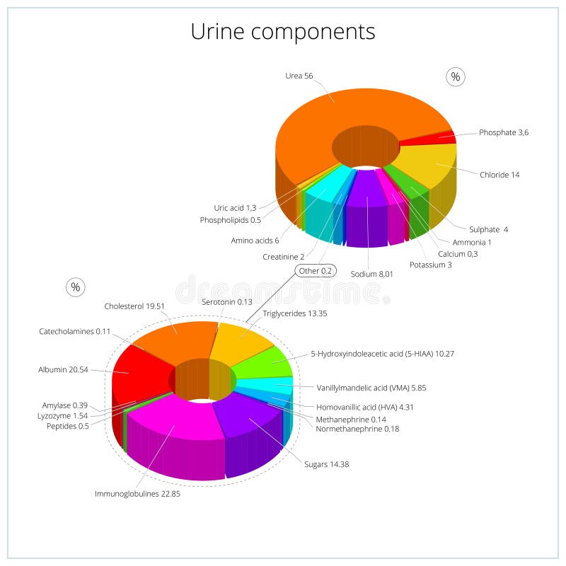 Urine Components Medical Vector Illustration Stock Vector ...