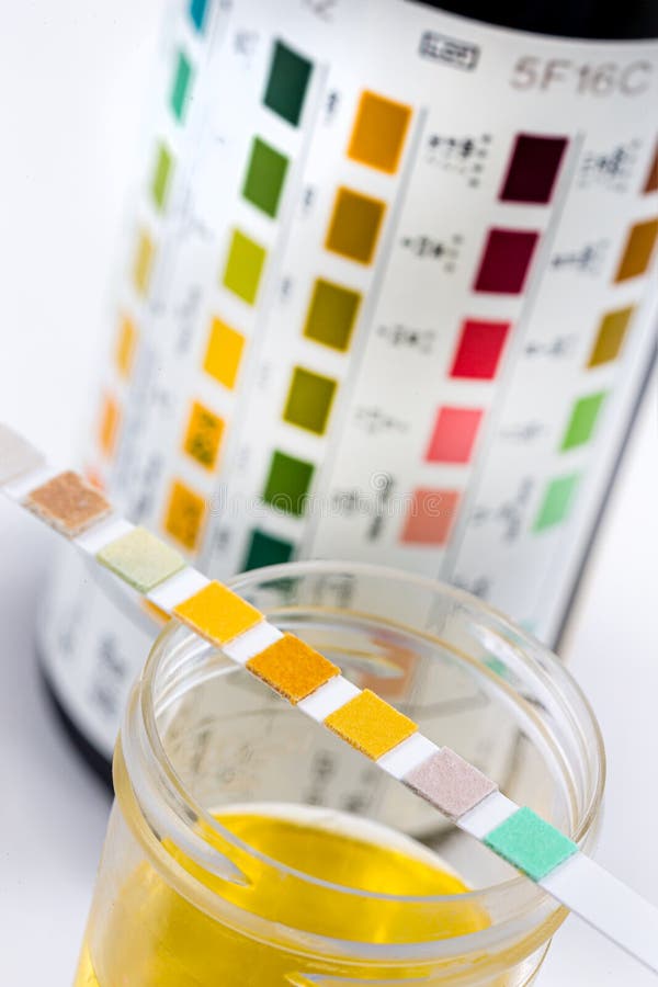 Urine Self-Tests-Self-Measurement Close Up View Stock Image - Image of ...