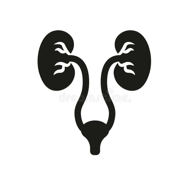 Urologie-Symbol in Einer Anderen Stil-Vektorgrafik Zwei Farbige Und ...