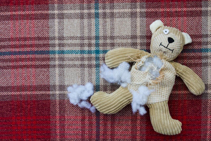 Urso De Peluche Abandonado Triste Imagem de Stock - Imagem de ...
