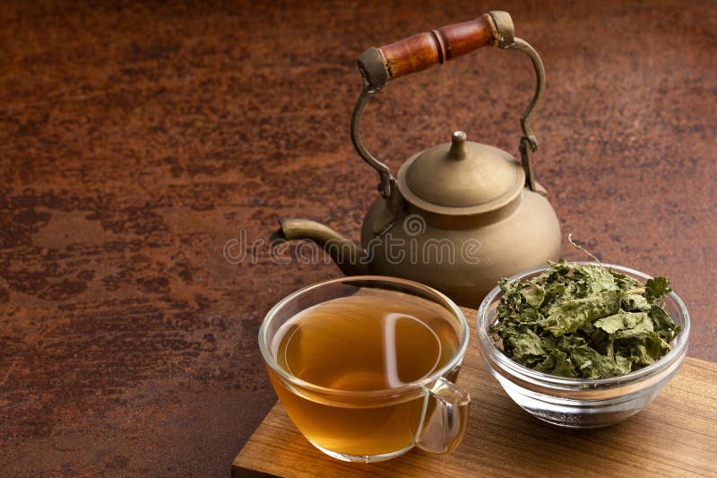 Urtica - Hot Nettle Tea - Medicinal Dried Leaves Stock Image - Image of ...
