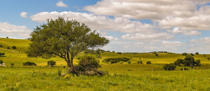 7,202 Uruguay Landscape Stock Photos - Free & Royalty-Free Stock Photos ...