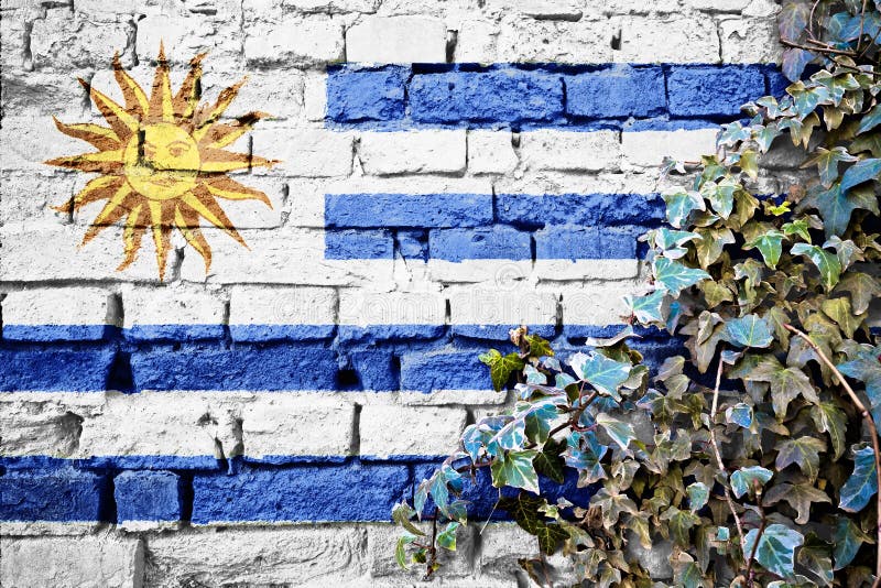 Grunge Flag Uruguay Leaf Stock Photos - Free & Royalty-Free Stock ... Grunge Flag Uruguay Leaf Stock Photos - Free & Royalty-Free Stock ...