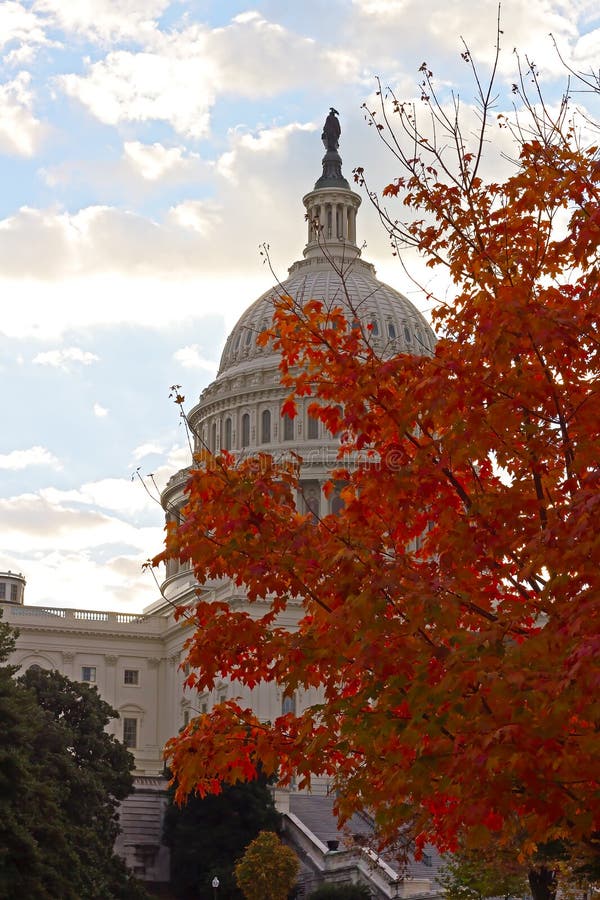 US Capitol Building, Washington DC Stock Image - Image of architecture ...