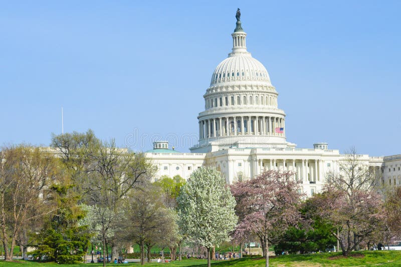 US Capitol Building in Spring - Washington DC Stock Photo - Image of ...