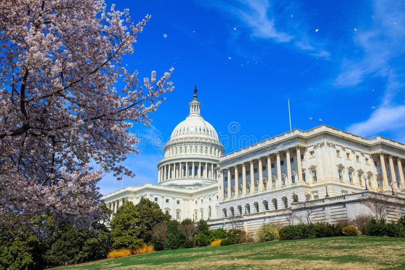 The United States Capitol Building in Washington DC Stock Photo - Image ...