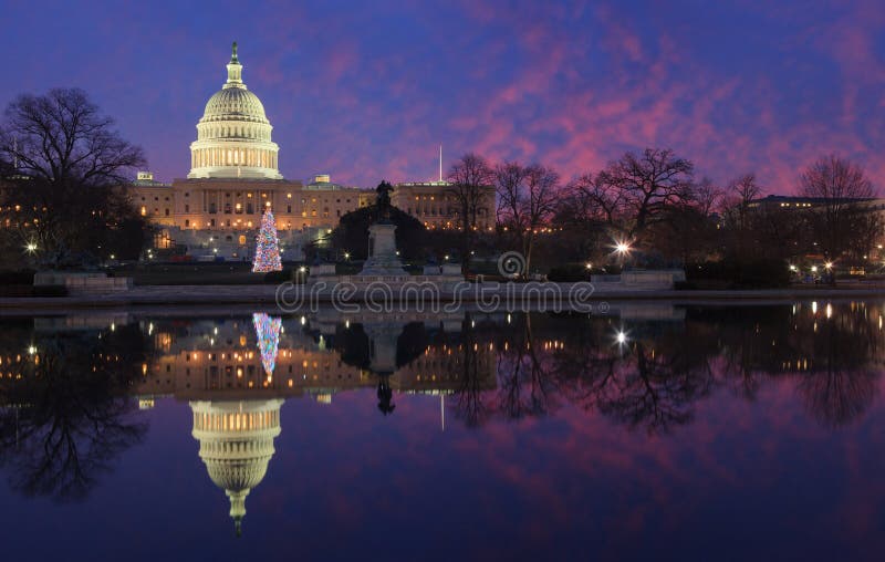 US Capitol Christmas Tree Washington DC Night Stock Image - Image of ... US Capitol Christmas Tree Washington DC Night Stock Image - Image of ...