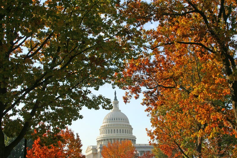 US Capitol in the Fall stock image. Image of autumn - 239041425