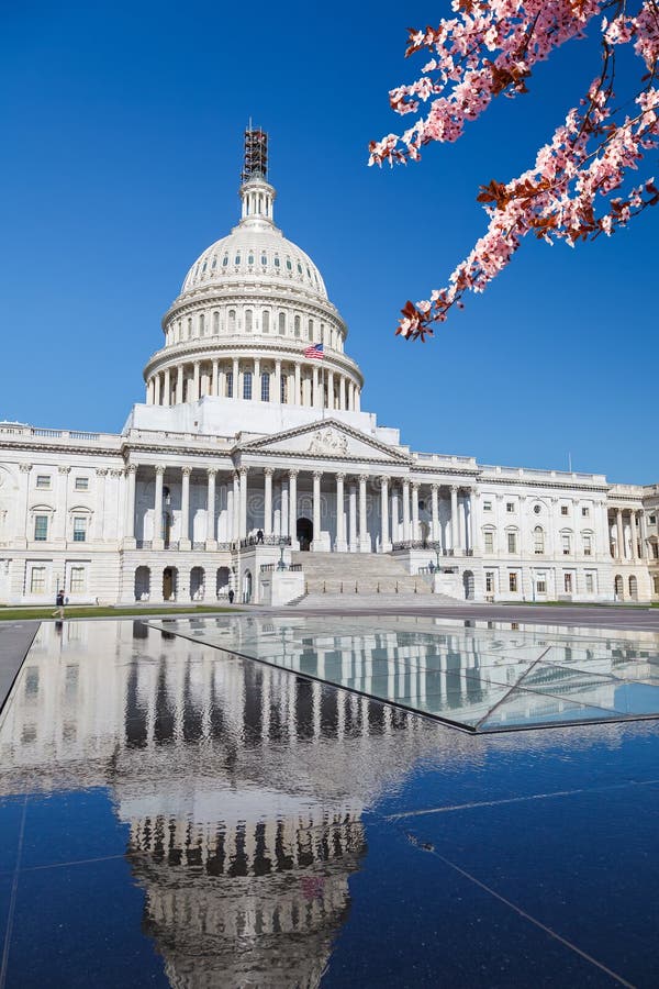 US Capitol at Spring Sunny Day Stock Photo - Image of culture ...