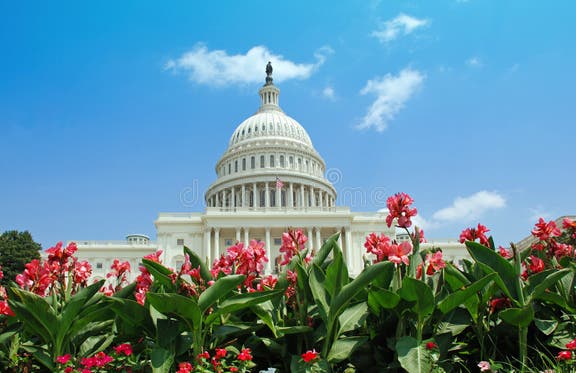 US Capitol with Summer Flowers Stock Photo - Image of house, national ...