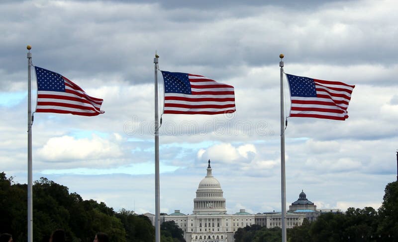 US Capitol in Washington, DC Editorial Stock Image - Image of flags ...