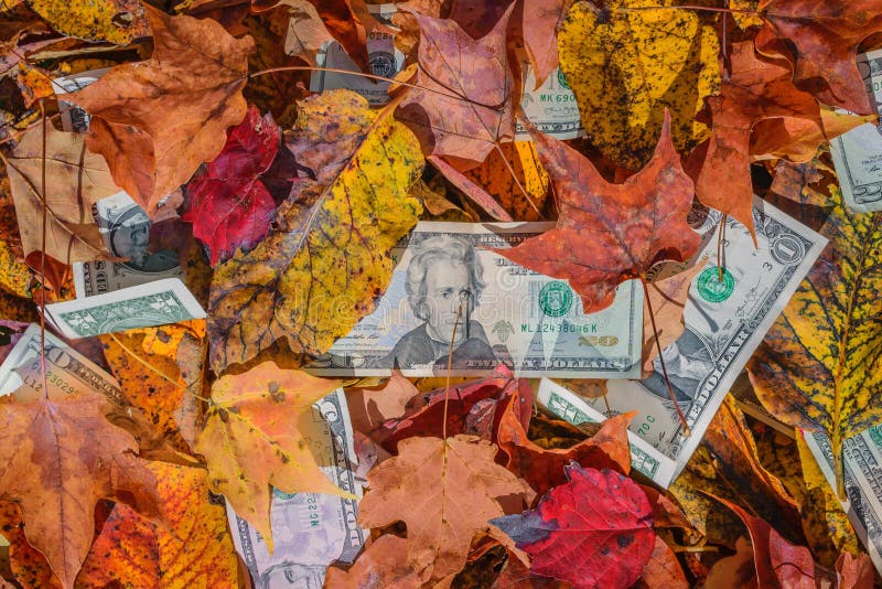 US Currency Mixed in with Fall Tree Leaves Stock Photo - Image of ...