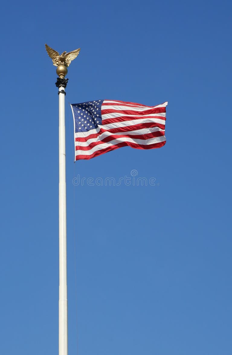 American Flag Golden Eagle Stock Photos - Free & Royalty-Free Stock ...