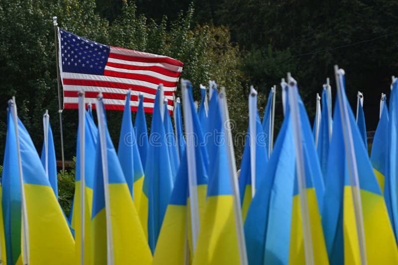 The US Flag is Behind a Group of Ukrainian Flags Stock Photo - Image of ...