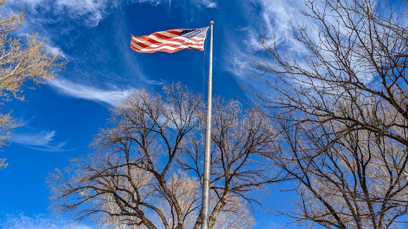 The US Flag Flutters in the Wind Against a Background of Tree Branches ...