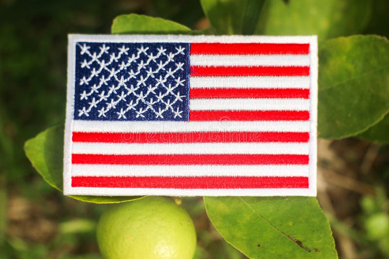 Small Us Flag Patch Iron Stock Photos - Free & Royalty-Free Stock ...