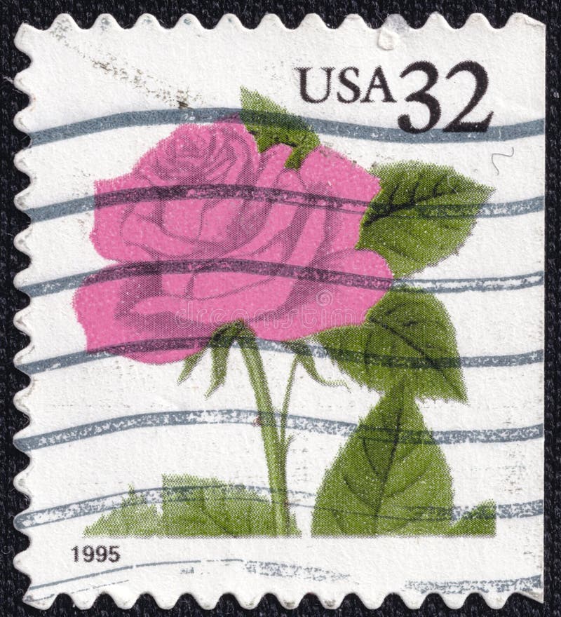 US Stamp from 1995 Featuring a Pink Rose. Editorial Stock Photo - Image ...