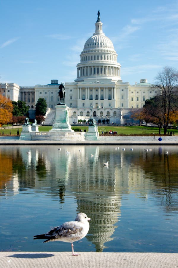 USA Capitol building stock image. Image of daylight, congress - 17163729