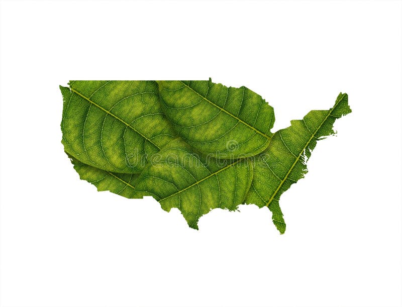 USA Map Made Out of Green Leaves Isolated on White Background Stock ...